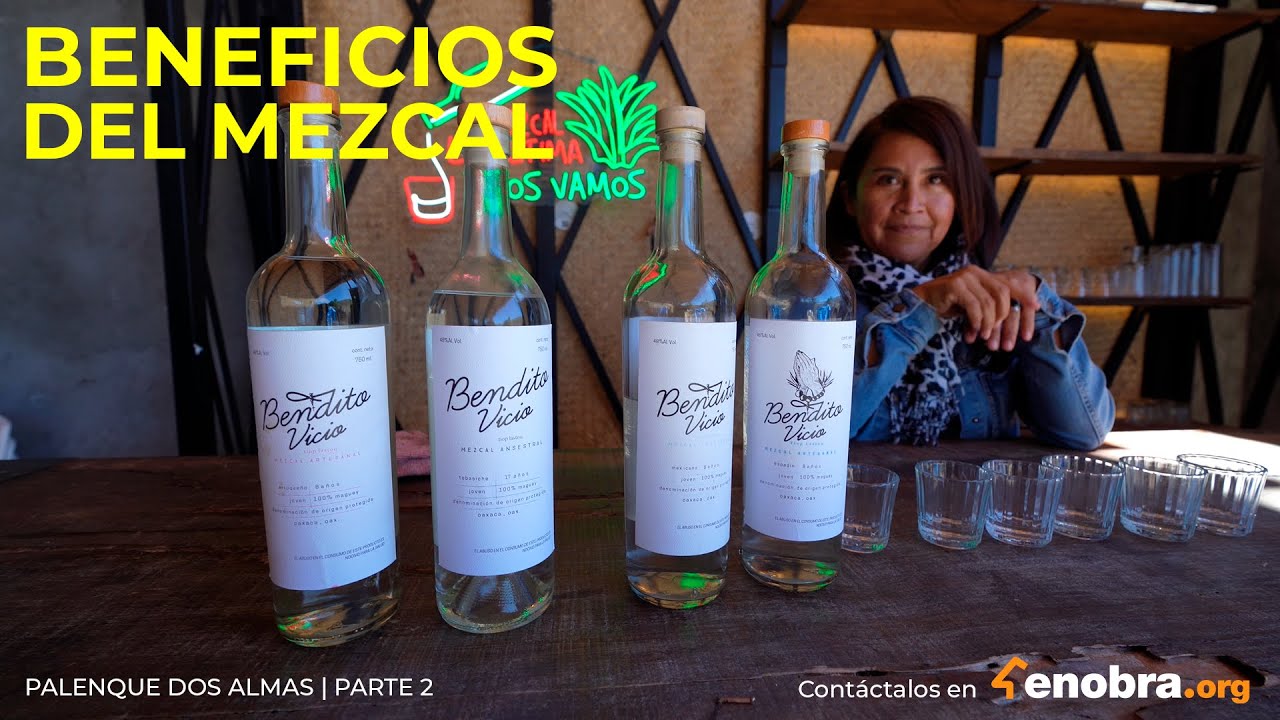 BENEFICIOS DEL MEZCAL | PALENQUE DOS ALMAS - PARTE 2 - Obras Ajenas